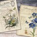 Printable Botanical Ephemera Paper Digital Download Vintage - Etsy