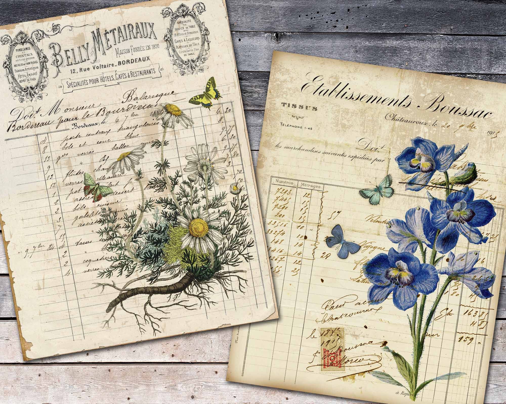Printable Botanical Ephemera Paper Digital Download Vintage - Etsy