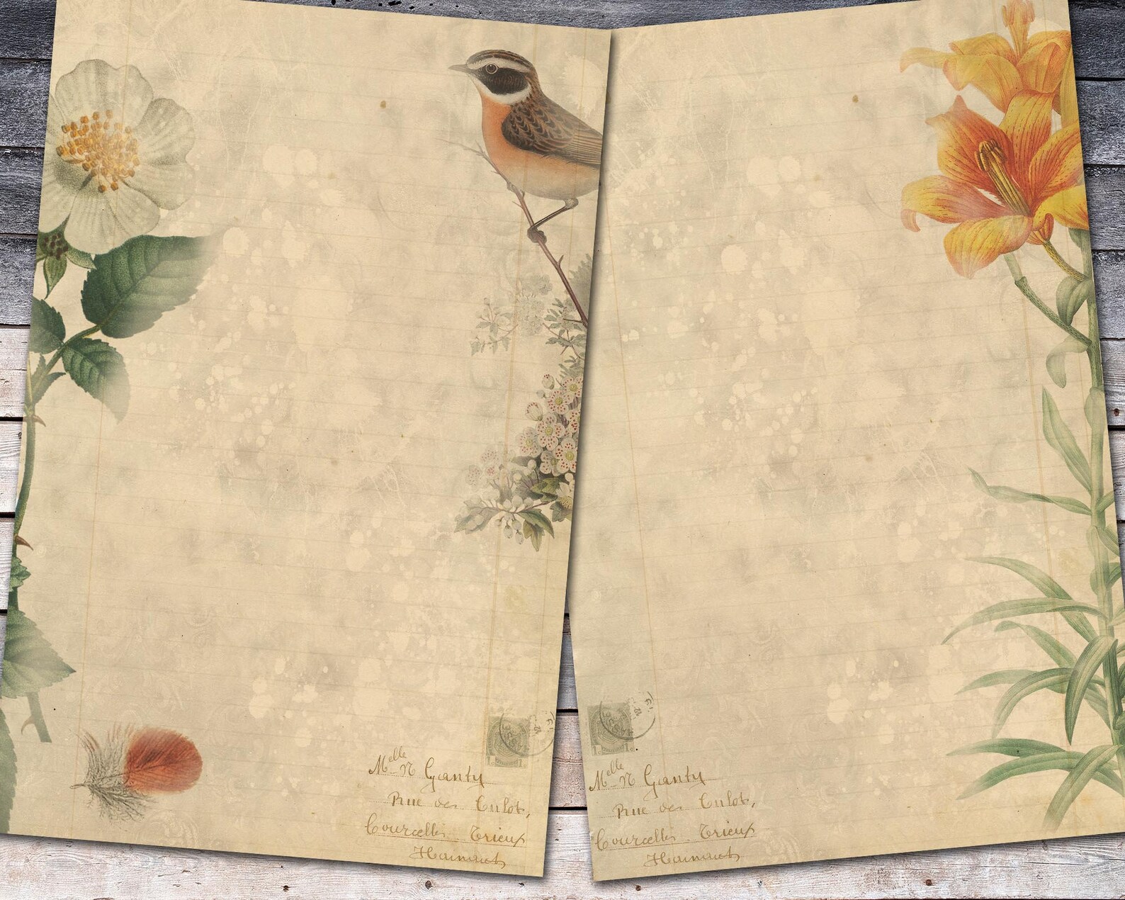Floral Lined Stationery Paper Botanical Vintage Pages for - Etsy