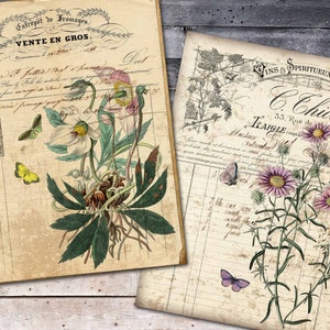 Printable Botanical Ephemera Paper, Digital Download, Vintage Ephemera ...
