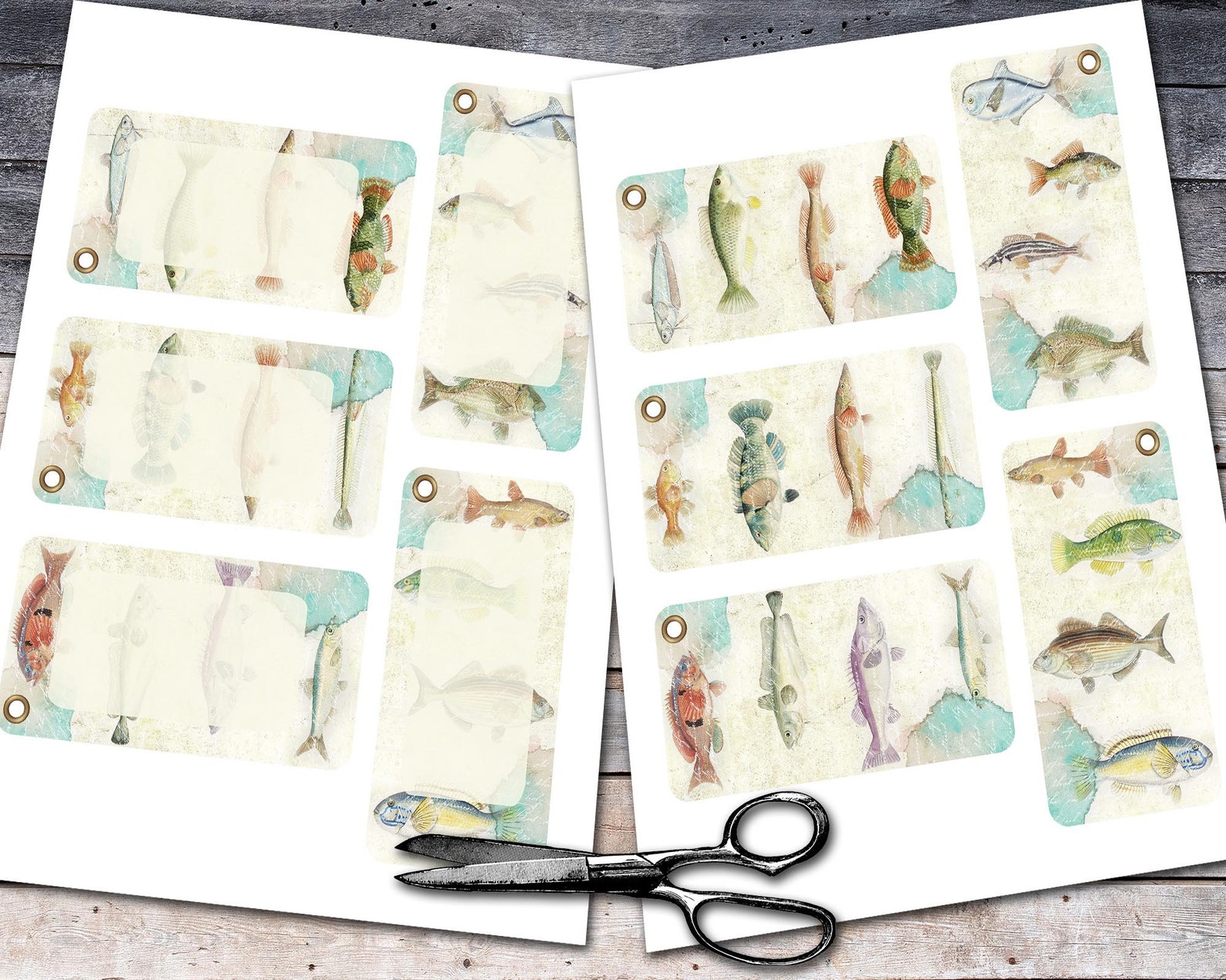 Editable Sea Life Tag Write On Ocean Life Tag Printable | Etsy