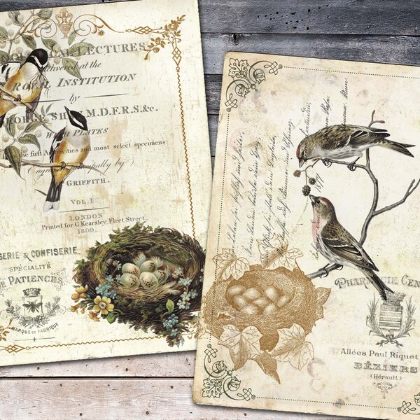 Vintage Bird - Etsy