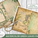 Green Leaves Journal Pages, Greenery Digitals, Shabby Leaves, Botanical ...