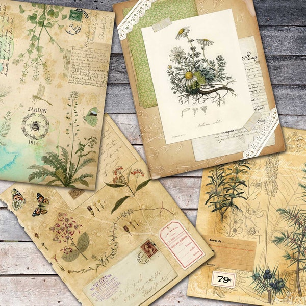 Herbal Printable - Etsy