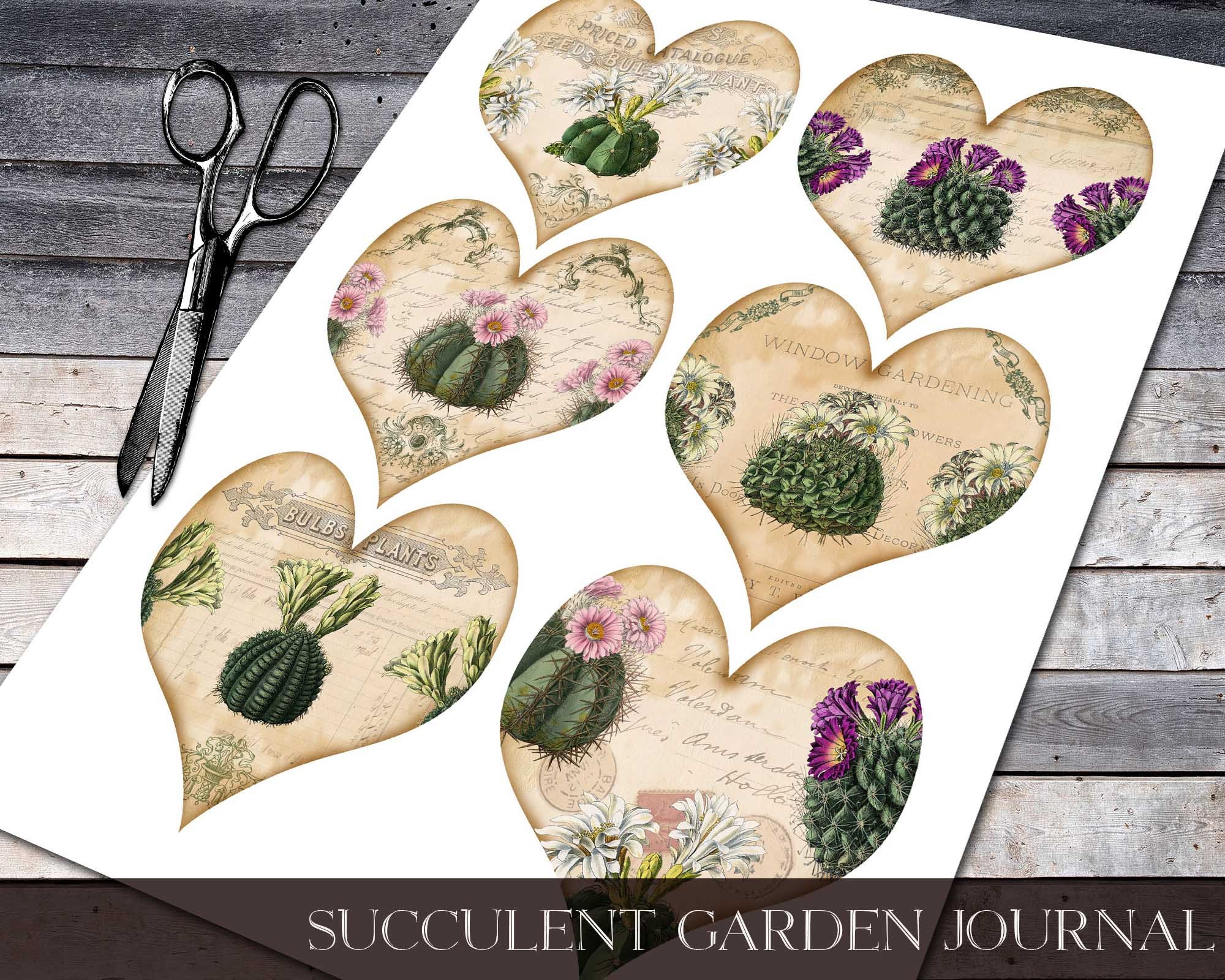 Succulent Garden Pages for Journaling Cacti Garden Journal - Etsy