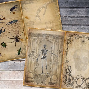 Creepy Castle Papers for Journal, Haunted Old Castle Collage Sheet ...