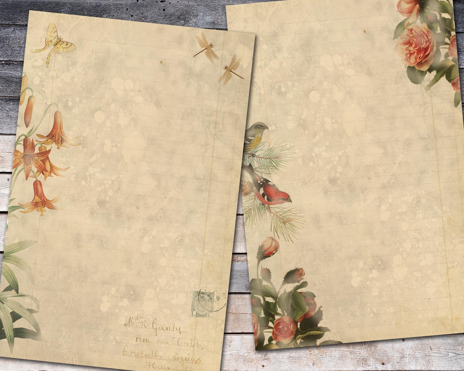 Floral Lined Stationery Paper Botanical Vintage Pages for | Etsy