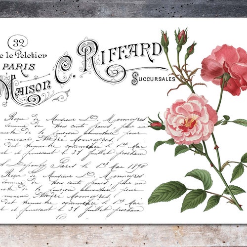 Digital Roses Images for Transfer Printable Floral Images for - Etsy