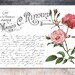 Digital Roses Images for Transfer, Printable Floral Images for Transfer ...