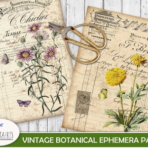 Printable Botanical Ephemera Paper, Digital Download, Vintage Ephemera ...