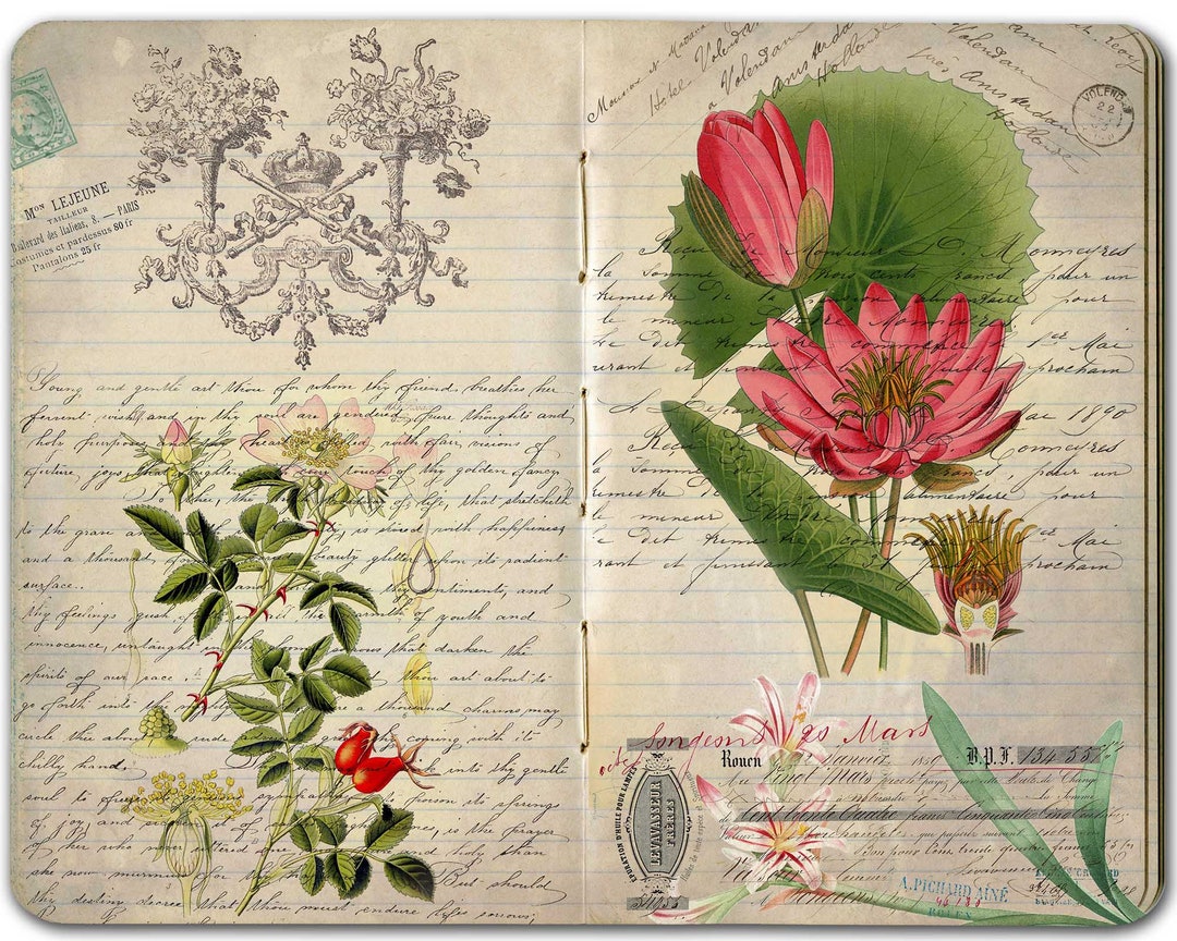 Digital Botanical Journal Page, Vintage Botanical, Floral Collage Sheet ...