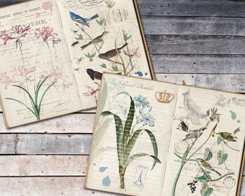 Botanical and Birds Journal Pages Digital Flower and Bird - Etsy