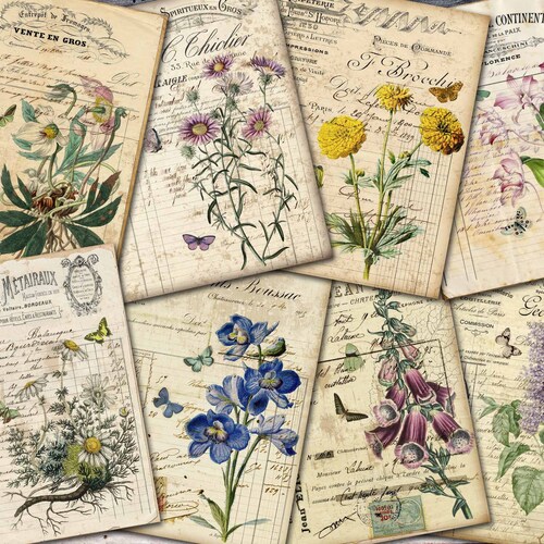 Printable Botanical Ephemera Paper Digital Download Vintage - Etsy