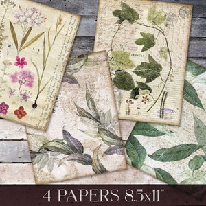 Botanical Journal Kit, Shabby Botanical, Vintage Botanical, Garden ...