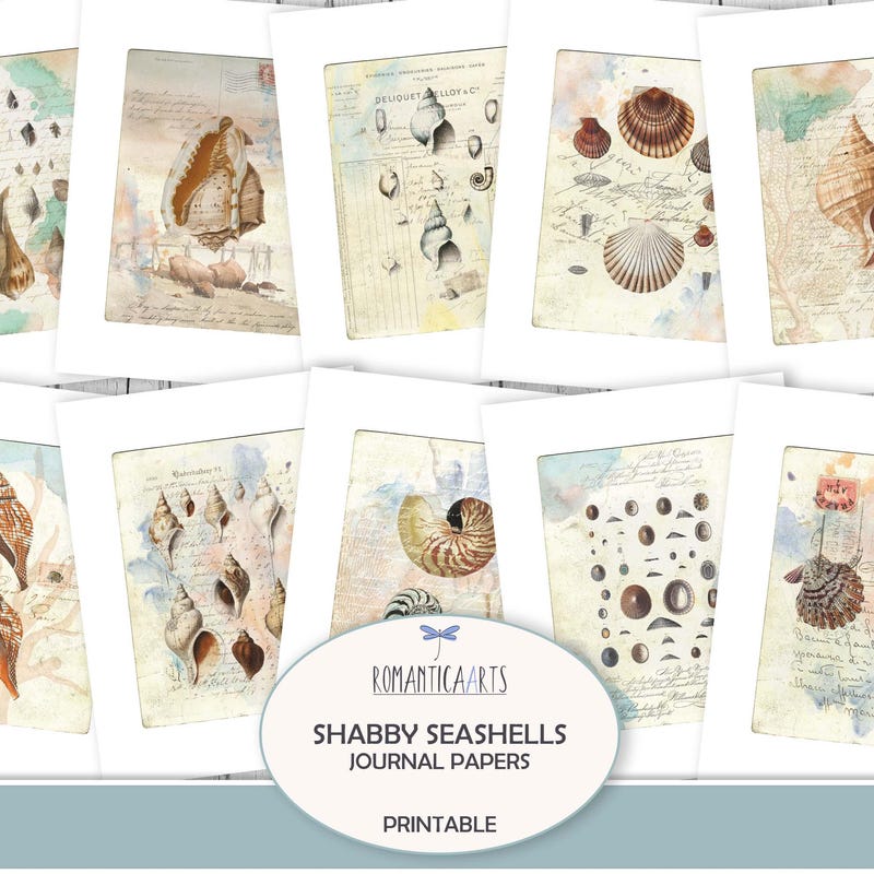 Seashell Journal - Etsy