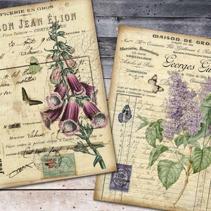 Printable Botanical Ephemera Paper, Digital Download, Vintage Ephemera ...