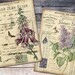 Printable Botanical Ephemera Paper Digital Download Vintage - Etsy