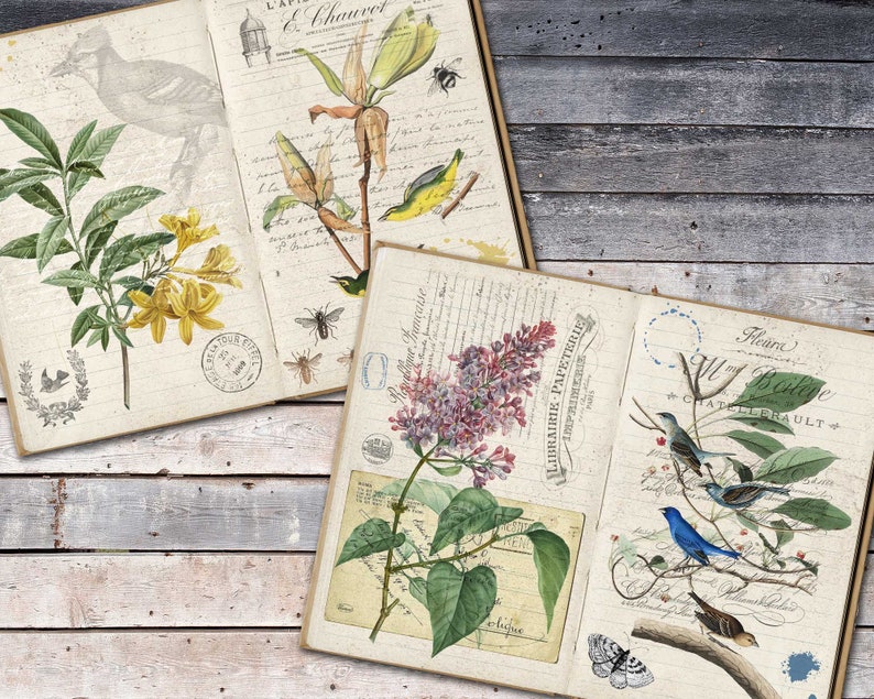 Botanical and Birds Journal Pages Digital Flower and Bird - Etsy