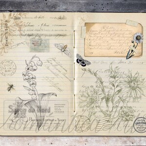 Botanical Notebook Pages, Floral Papers, Vintage Floral Page, Neutral ...