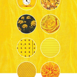 Yellow Instagram Highlight Icons for Lifestyle Blog, Instagram ...