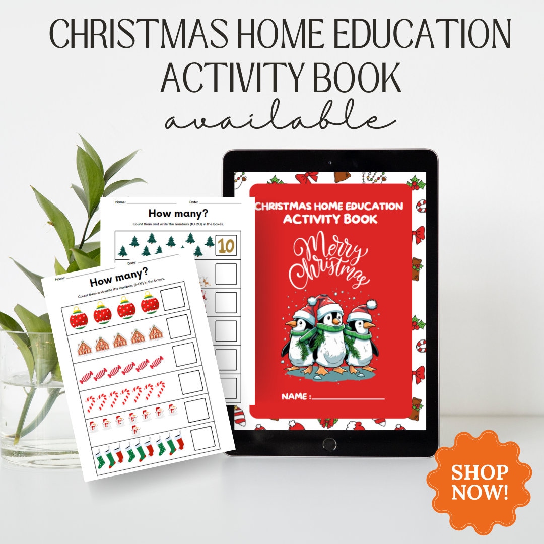 Printable Holidays Home Learning Activity Book Christmas Activities for ...