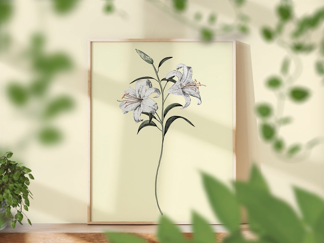 White Lily Print Floral Wall Art Lily Wall Decor Botanical Art Flower ...