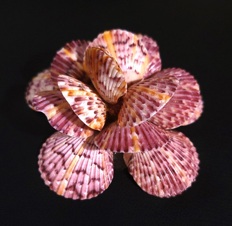 Vintage 1 Seashell Flower Blossom - Made W/ Purple and White Calico ...