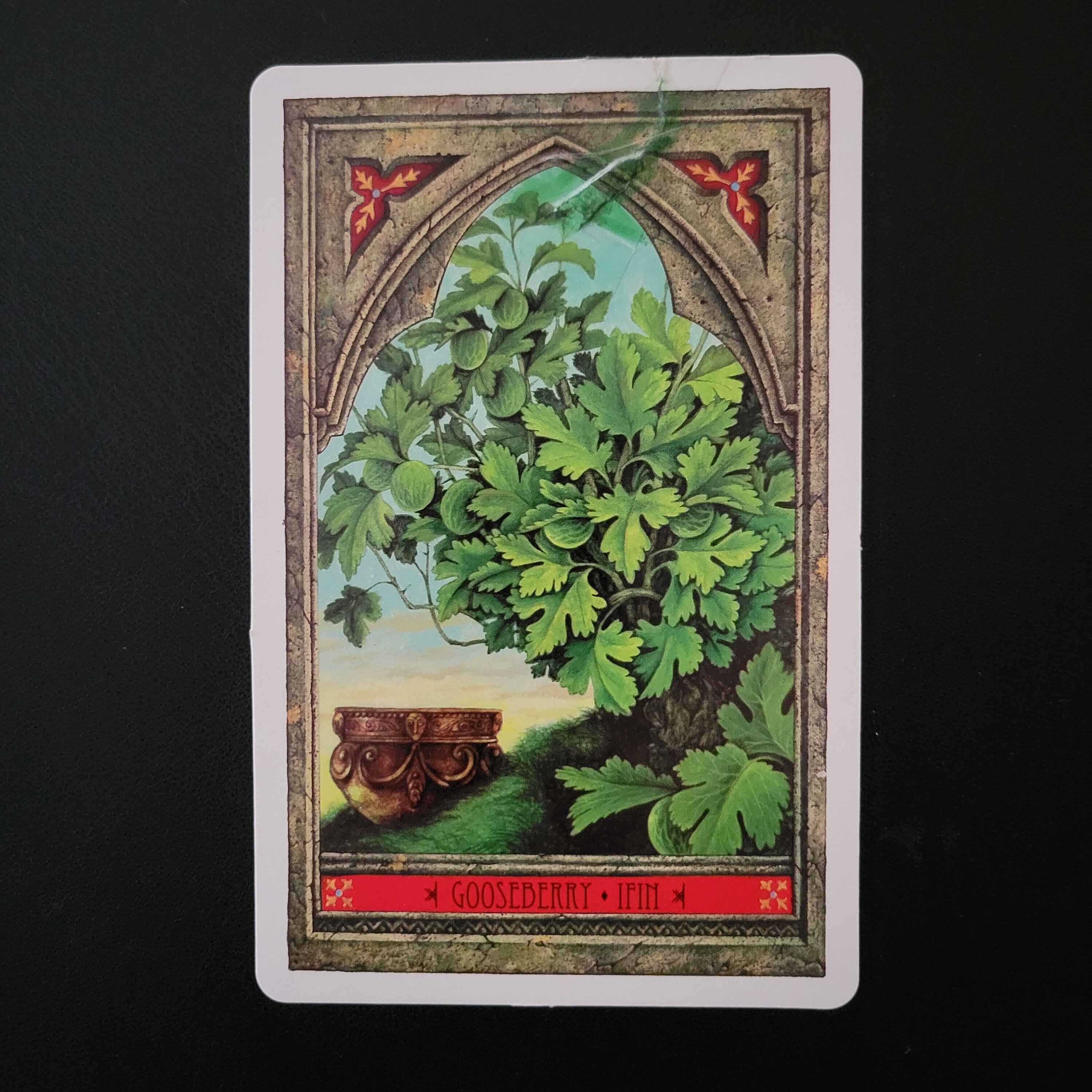 The Greenman Tree Oracle Boxed Deck & Guidebook Set by John Matthews ...