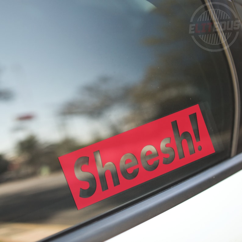 Sheesh! Funny Meme Die-cut Vinyl Decal - Etsy