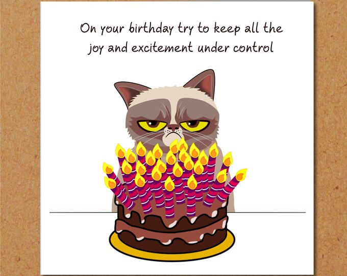 Grumpy Cat Birthday Card for Anyone Who Loves Cats Funny - Etsy