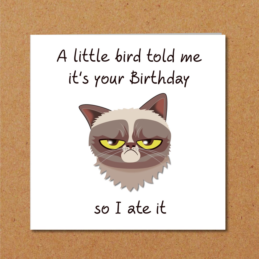 Grumpy Cat Birthday Card for Anyone Who Loves Cats Funny - Etsy