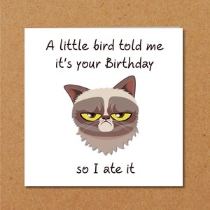 Grumpy Cat Birthday Card for Anyone Who Loves Cats - Funny, Humorous ...