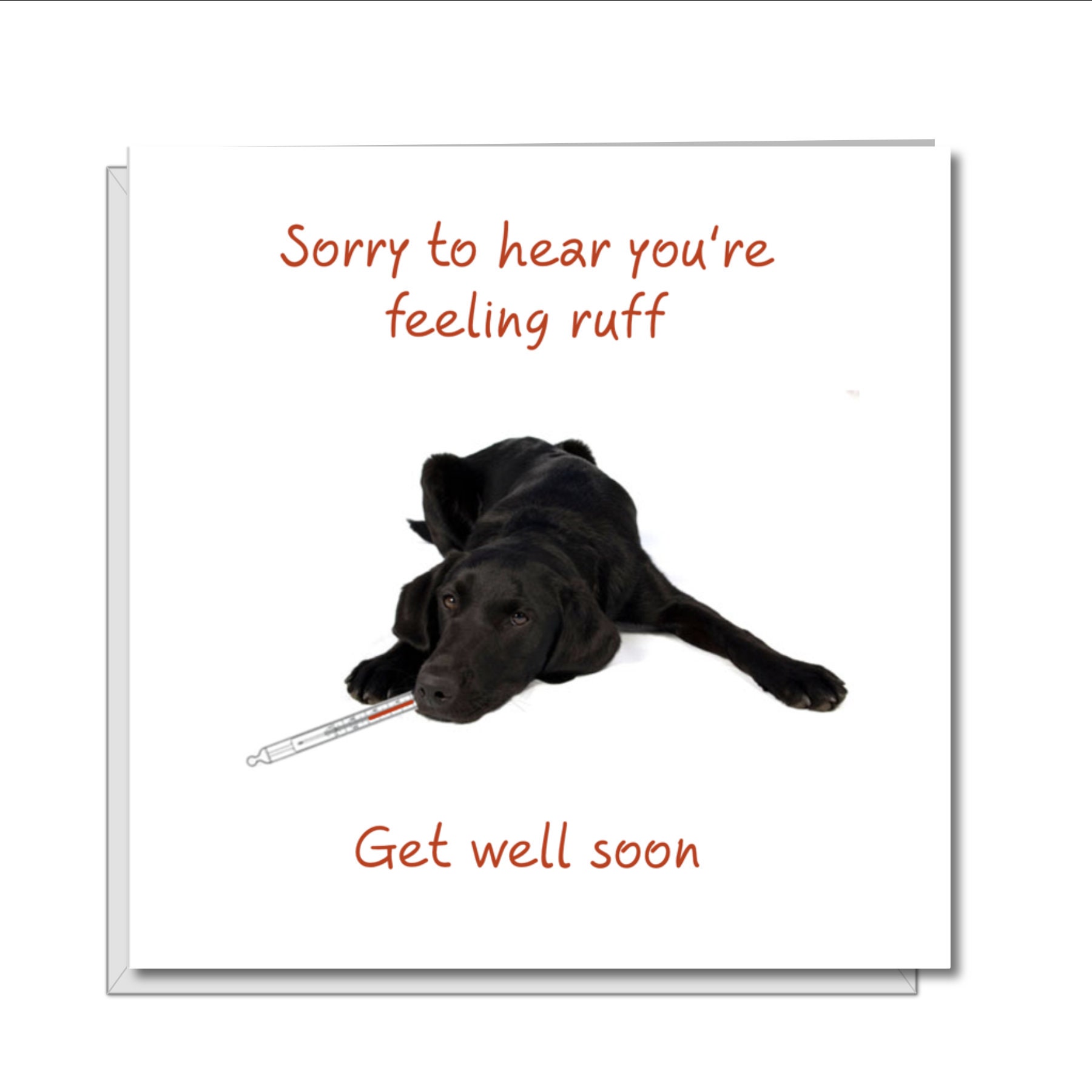 Get Well Soon Dog Lab