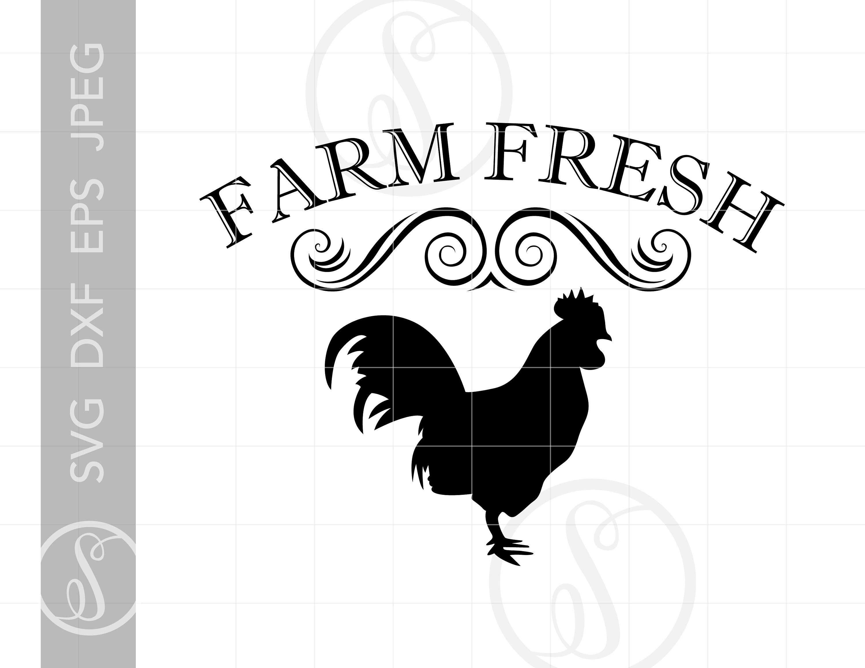 Farm Fresh Rooster SVG Vector Farm Fresh Rooster Clipart - Etsy