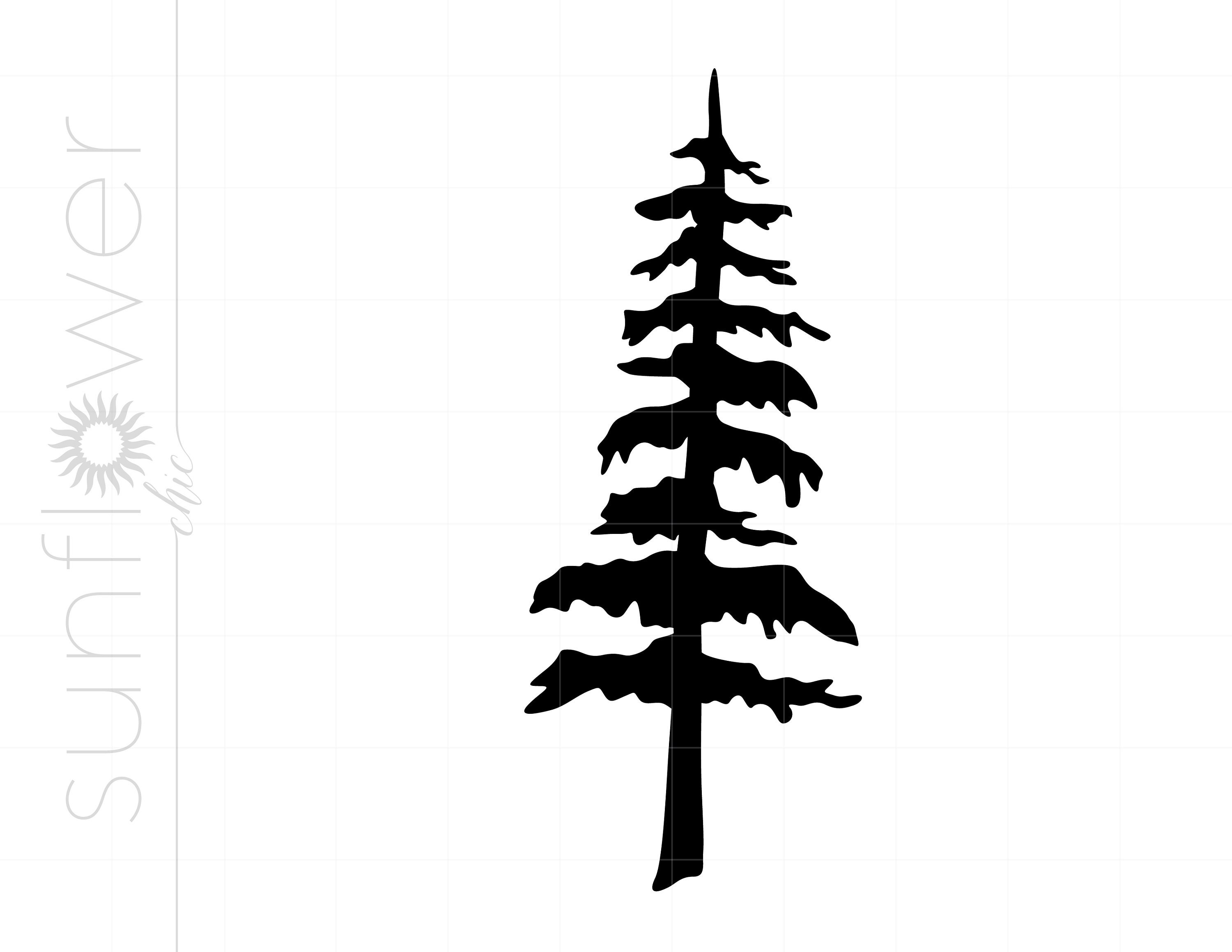 Evergreen Tree Clipart