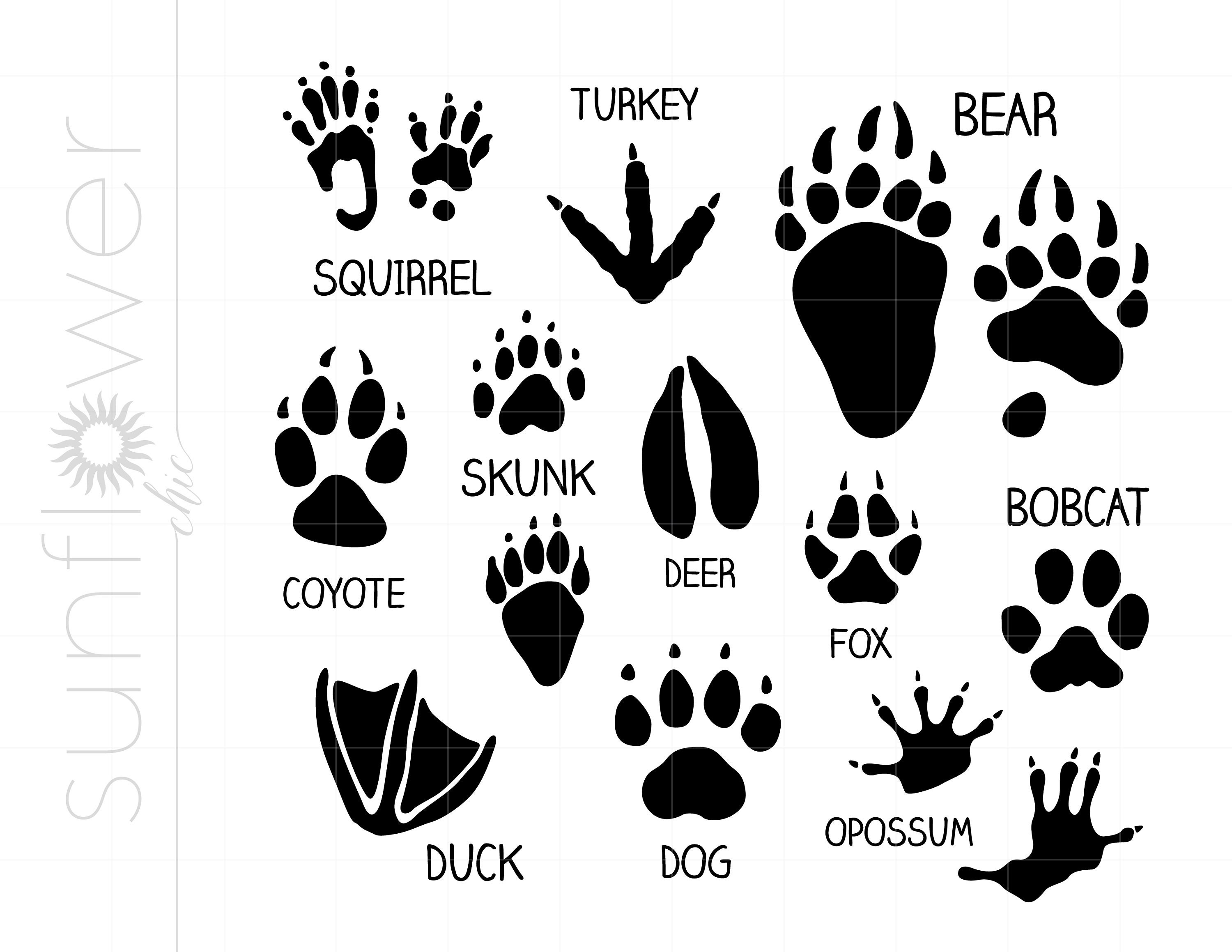 ANIMAL TRACKS Svg Cut File Clipart Downloads Animal Paw - Etsy