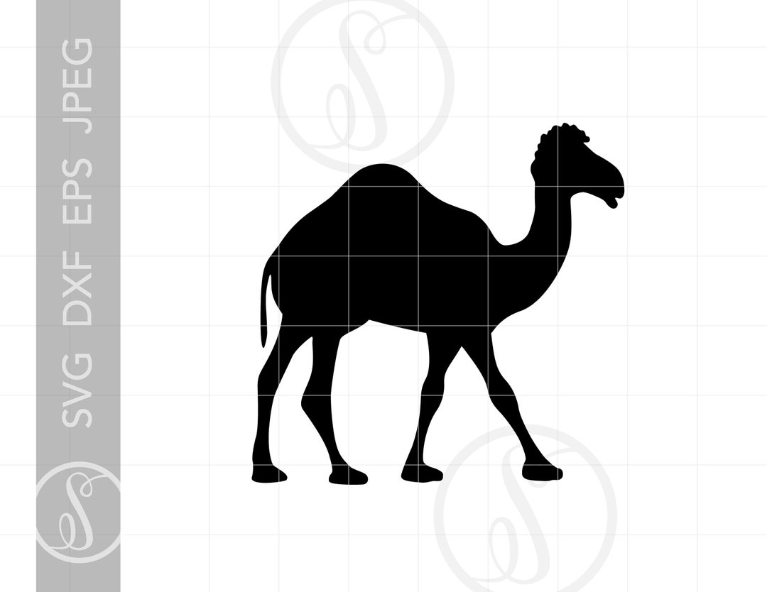Camel SVG | Camel Clipart | Camel Silhouette Cut File | Camel Svg Jpg ...