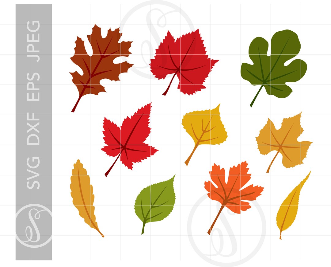 Autumn Leaves Svg Cut File Clipart Downloads | Fall Leaves Svg Dxf Pdf ...