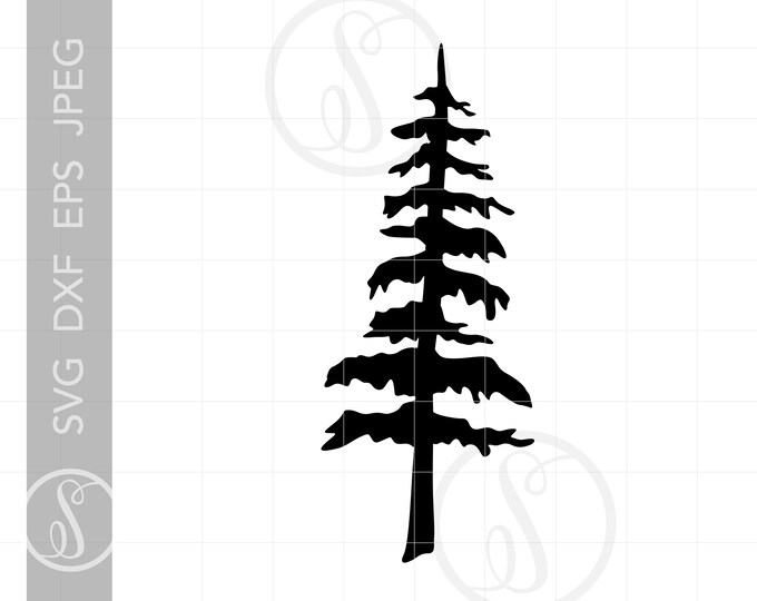 Evergreen Tree SVG Tree Clipart Tree Cut File for Cricut - Etsy