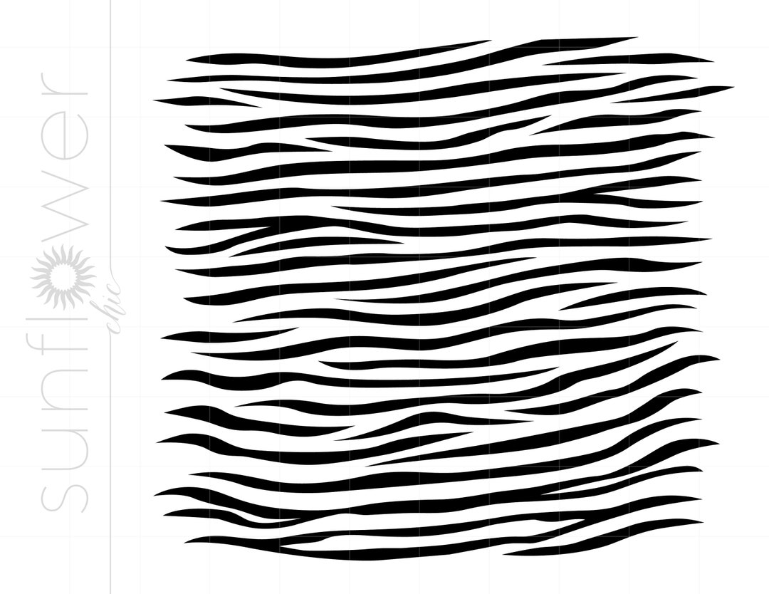 Zebra Stripes Vector