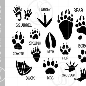 ANIMAL TRACKS Svg Cut File Clipart Downloads Animal Paw - Etsy