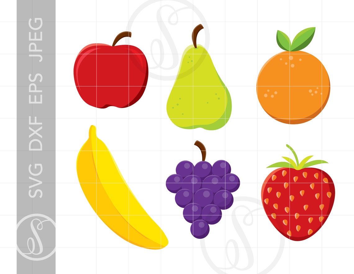 Fruit SVG Vector Fruit Clipart Full Color Fruit Svg Jpg - Etsy