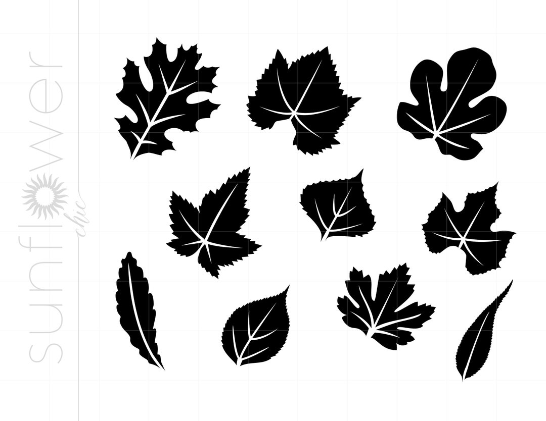 Fall Leaves Svg Cut File Downloads | Autumn Leaves Clipart Svg Fall ...