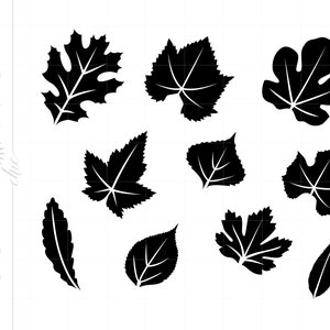 Fall Leaves Svg Cut File Downloads | Autumn Leaves Clipart Svg Fall ...