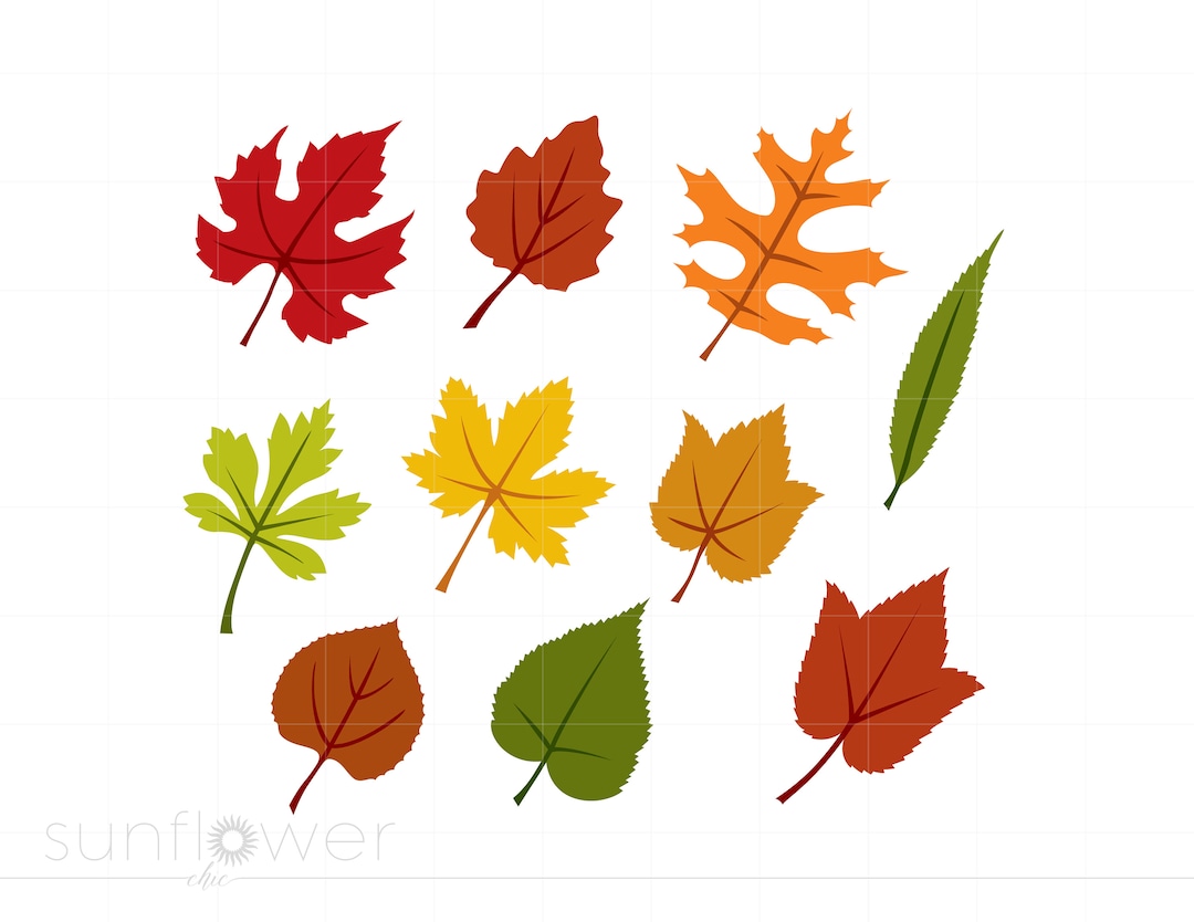 Autumn Fall Leaves Svg Download, Fall Leaves Clipart Svg Png Jpg Cricut ...