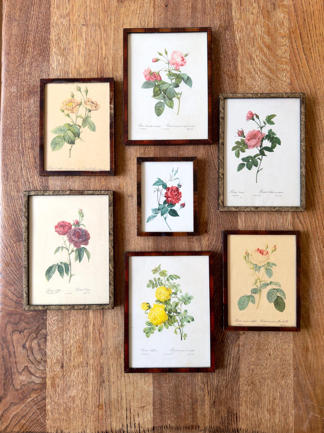 Antique Rose Prints, Vintage Rose Prints, Redoute Prints, Antique ...