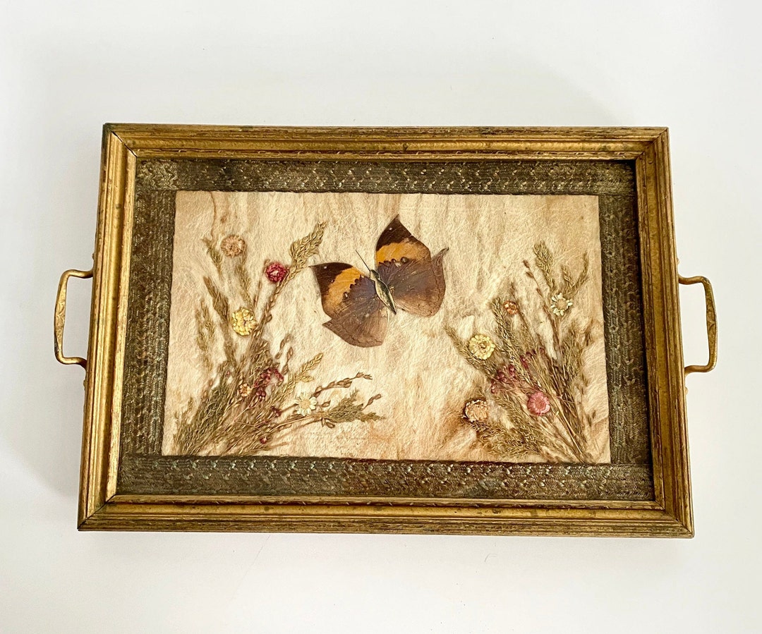 Vintage Tray With Pressed Butterfly and Flowers, Wood and Glass ...