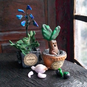 Miniature Magic Plants Witch Dollhouse Miniatures Apothecary Wizard ...