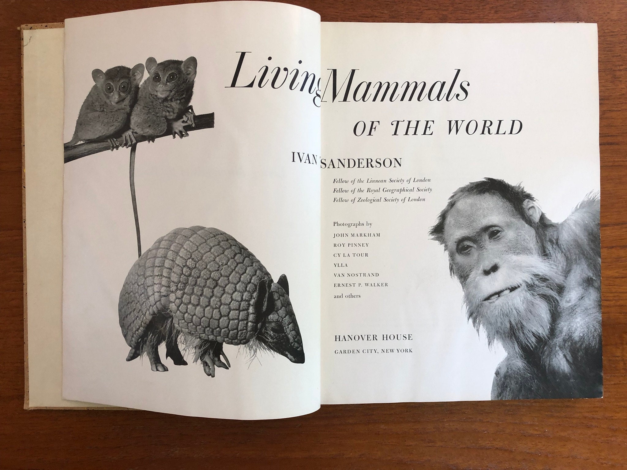 Living Mammals of the World, by Ivan T. Sanderson, 1956, Second ...