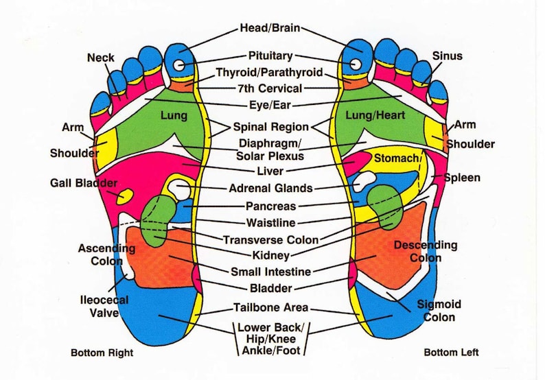 Shungite Grounding Shoe Inserts: Chakra Balance, Pain Relief - Etsy